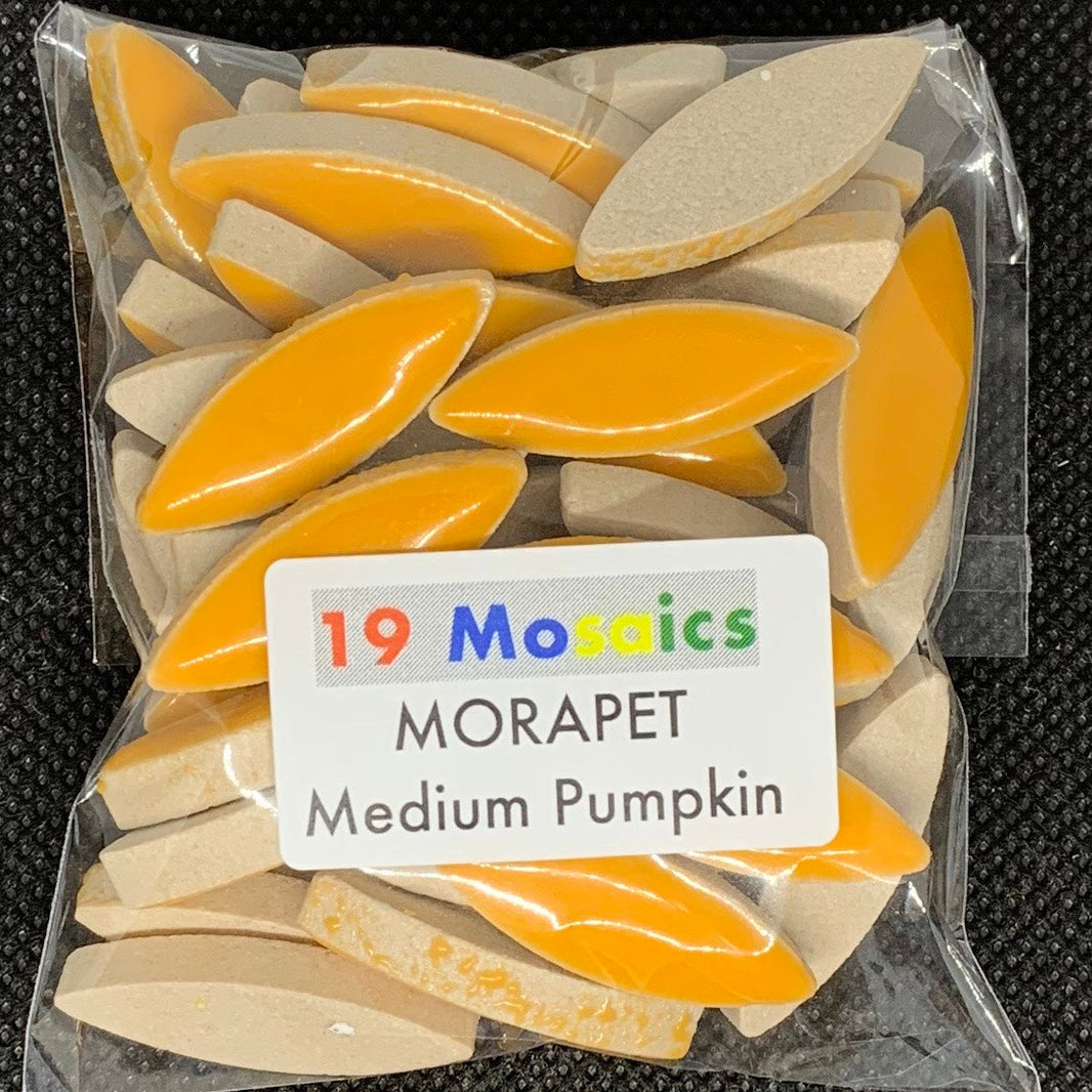 Pumpkin – 19 Mosaics